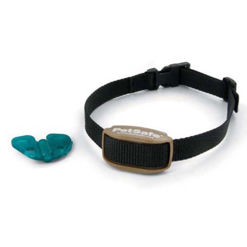 Collar para perros Innotek: los 15 mejores productos comparados ...