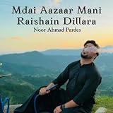 【発売日：2024年11月13日】・製造元:Noor Ahmad Pardesi
