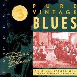Buy Pure Vintage Blues Vol. 3 Online at Low Prices in India | Amazon ...