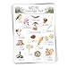 Amazon.com: bxtala 30 Pcs Nature Scavenger Hunt Cards, Find and Seek ...