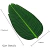 Amazon.com: SWR Banana Leaves, Leaf placemats,16 Pcs Artificial Banana ...