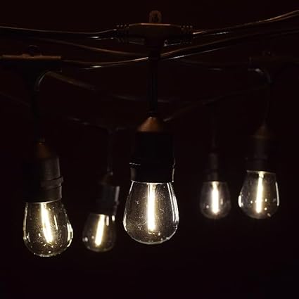 Hometown Evolution, Inc. 100 Foot E26 LED Outdoor Commercial String ...