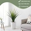 Amazon.com: 3FT Artificial Agave Plant – Realistic Faux Spiked Agave ...