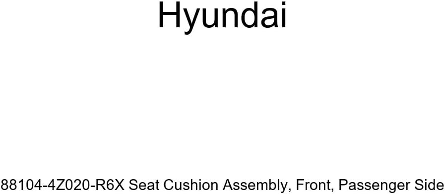 Amazon.com: Genuine Hyundai 88104-4Z020-R6X Front Passenger Side Seat ...