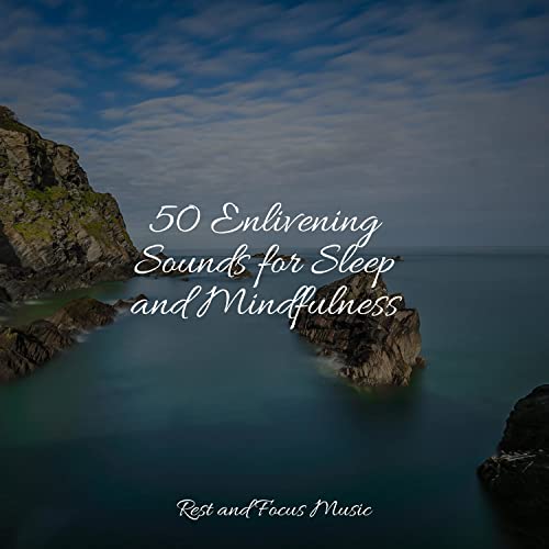 Écouter 50 Peaceful Melodies for Meditation & Vibes de ...
