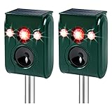 5 Best Ultrasonic Squirrel Repellent That Actually Work