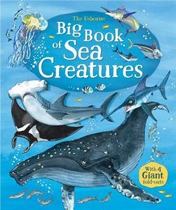 The Usborne Big Book of Sea Creatures: Minna Lacey: 9780794539092 ...