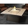 Amazon.com : Stanbroil Silica Sand for Fire Pit Fireplace and Base ...