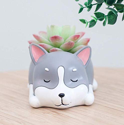 Amazon.com: WISH HALLY WOOD Husky Dog Succulent Planter Pot,use for ...