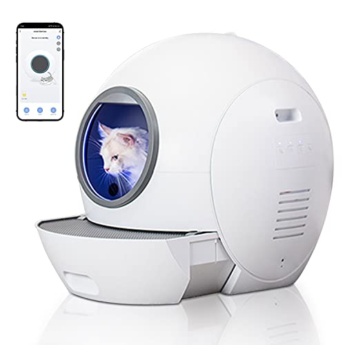 amazon.ae Best Sellers: The best items in Cat Litter & Housebreaking ...