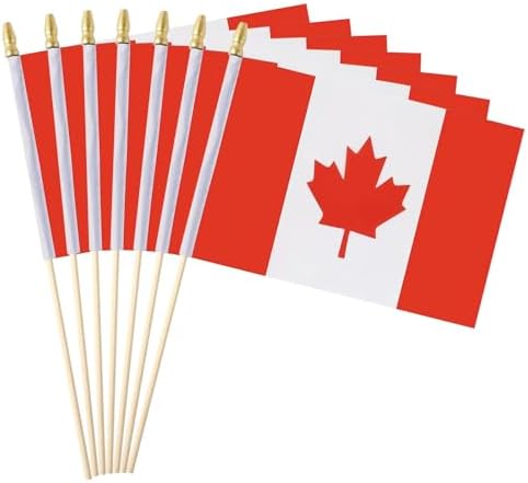 Amazon.com: Hand Held Canada Flag Canadian Flag Stick Flag Mini Flag 50 ...