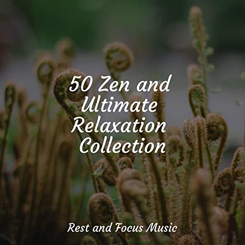 Amazon.com: 50 Zen and Ultimate Relaxation Collection : Oasis de ...
