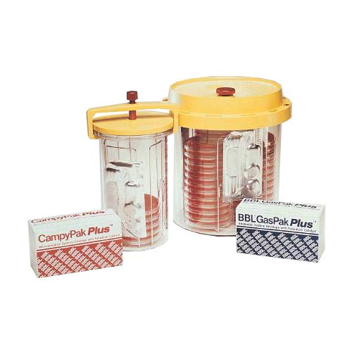 BD Diagnostic 260614 O Ring Gasket for GasPak 150 Lid Assembly (Pack of ...