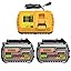 Amazon.com: DCB609 Battery & DCB118 Fast Charger Combo | 2-Pack 20V-60V ...