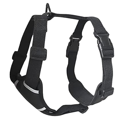 The 30 Best Gentle Leader Dog Harnesses of 2025 [Verified] - Cherry Picks