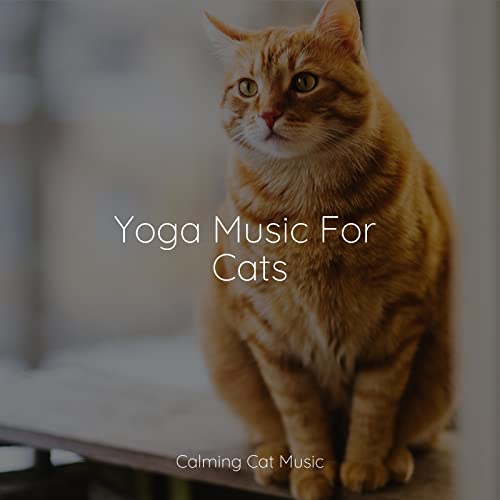 Amazon MusicでJazz Music for Cats, Music for Cats Project & Music for ...