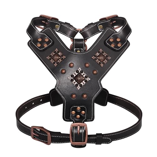 Dog Spike Vest – The 15 best products compared - Wild Explained