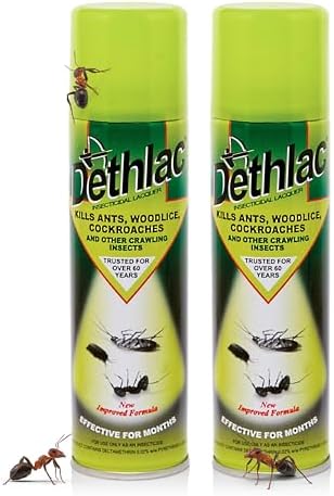 Dethlac Spray | Ant Killer Indoor & Outdoor 250ml Aerosol | Insect ...