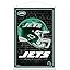 Amazon.com: Trends International NFL New York Jets - Neon Helmet 24 ...