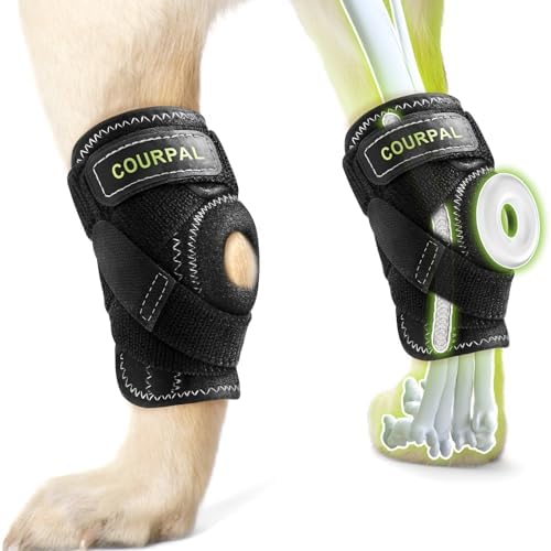 Amazon.com : Dog Back Leg Brace for Hock & Ankle, Dog Rear Leg ACL ...