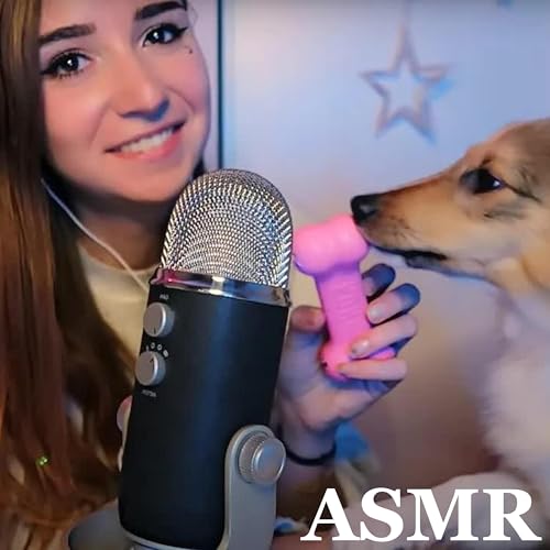 Écouter Mon chien SUN goûte des aliments pour la première fois par Alteanne ASMR sur Amazon ...