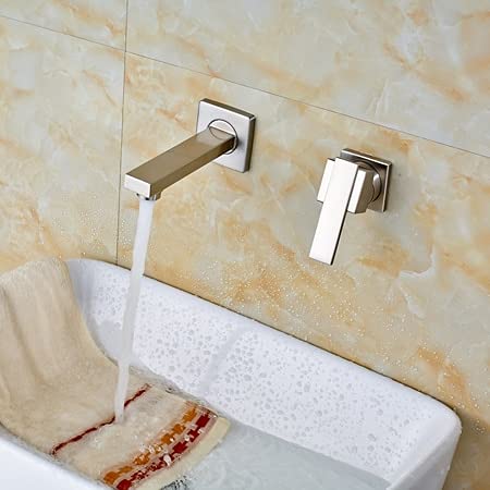 Cómo Preparas A Un Grifo Punteagudo De Pelo Duro