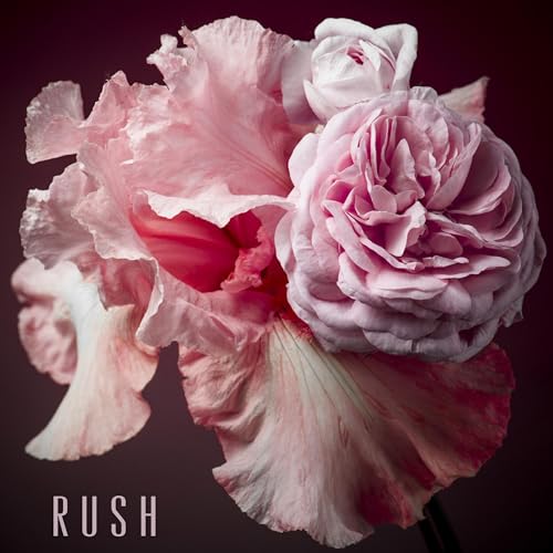 Play Rush by Margot Todd on Amazon Music Unlimited