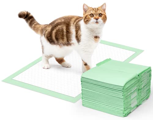 Pee Pads for Cats – The 15 best products compared - Wild Explained