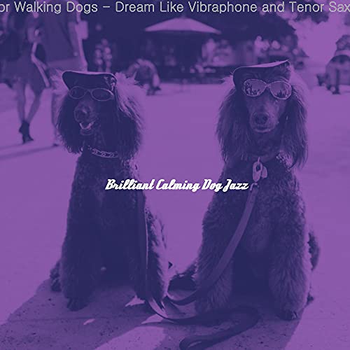 Music for Walking Dogs - Dream Like Vibraphone and Tenor Saxophone de ...