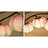 Mulberry Rice Paper Ball Handmade Bellflower Design Art Shade Round ...
