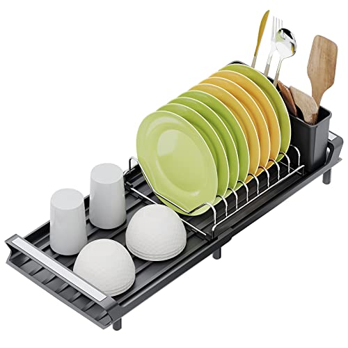 Find The Best Simple Human Dish Racks Reviews & Comparison - Katynel