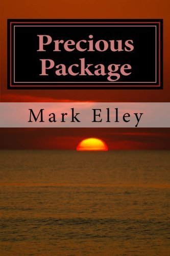 Precious Package: A John Doyle Mystery (John Doyle Mysteries) (Volume 2 ...