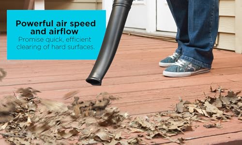 BLACK+DECKER Leaf Blower Cordless with Battery and Charger ...