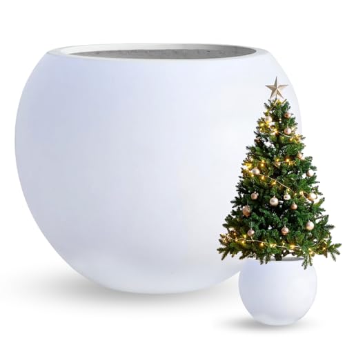 Best Extra Large Round Planters for Trees – Dad Improvement