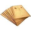Amazon.com: BarnwoodUSA Unfinished Wood Bundle, Pack of 10, 12 Inches ...