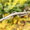 Amazon.com : WBCBEC 24PCS Fruit Tree Branch Puller Tying Machine Farm ...