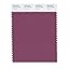 PANTONE Smart 18-1663X Color Swatch Card, Chinese Red - House Paint ...