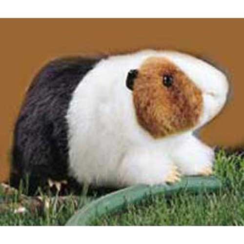 Buy Guinea Pig Puppet Online at Low Prices in India - Amazon.in