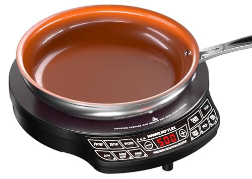 Single Burner: 6 Best Single Induction Cooktops