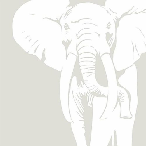 Amazon.com: The White Elephant Album : Bretton Woods: Digital Music