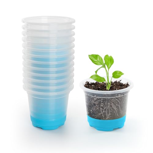 Amazon.de Best Sellers: The most popular items in Germination Pots