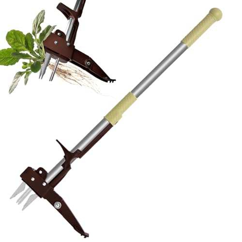 Dandelion Removal Tool – The 15 best products compared