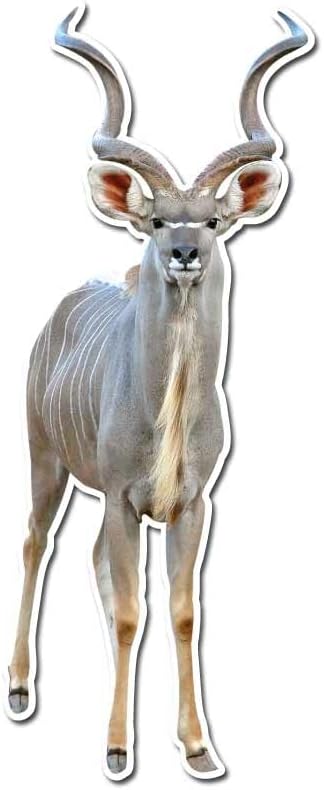 Amazon.com - African Kudu 3 inch Full Color Indoor Outdoor Vinyl Decal