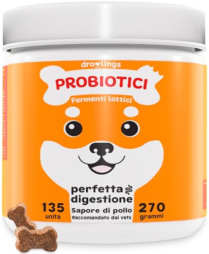 Probiotici per cani: a cosa servono e i migliori