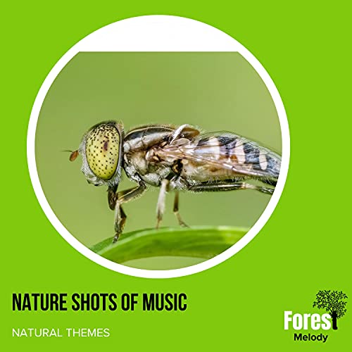 Amazon.com: Nature Shots of Music - Natural Themes : VARIOUS ARTISTS ...
