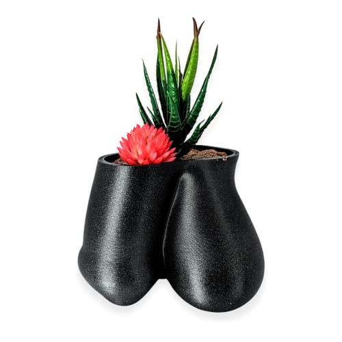 Amazon.com: Succulent Penis Planter Pot - Male Body Plant Pots ...