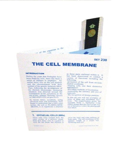 NTA Animal The Cell Membrane Microslide: Microscope Sample Slides ...