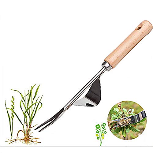 Garden Tiller Reviews » Blog Archive » Best Review Of Dee Weeder Cast ...