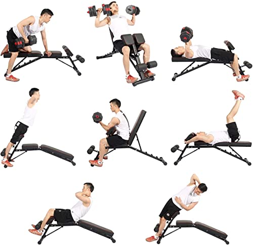 Best Workout Benches – Best Cost