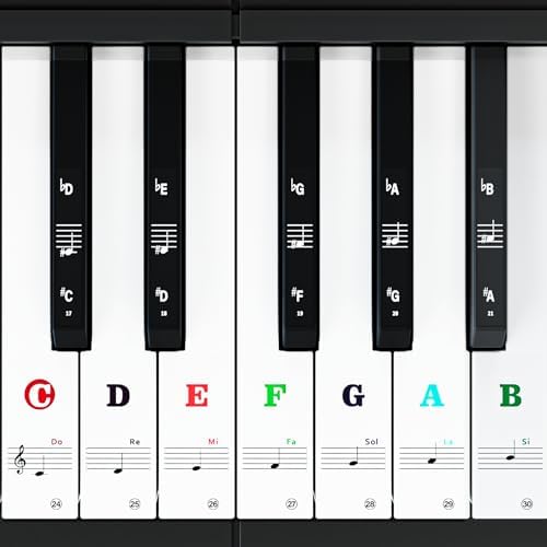 Amazon.com: Piano Keyboard Stickers for 88/61/ 54/49 Key, Colorful ...